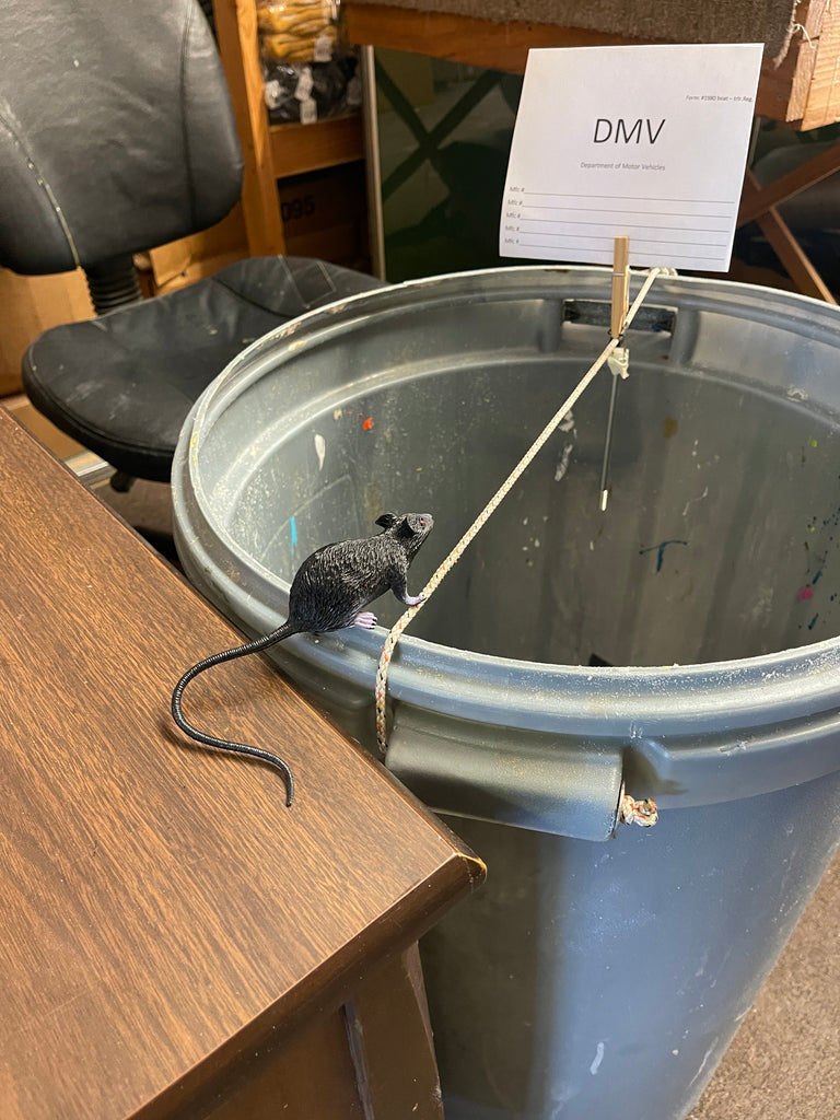 How To Get Rid Of Mice – Shred & Speed